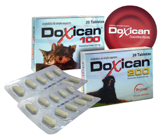 DOXICAN / LABORATORIOS PROVET S. A. | Vademecum Veterinario > Soy del Campo