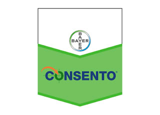 CONSENTO / BAYER CROPSCIENCE S.A. | Vademecum Agrcola > Soy del Campo