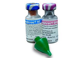 NOBIVAC KC / MSD Salud Animal MERCK & CO INC | Vademecum Veterinario ...