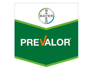 PREVALOR / BAYER CROPSCIENCE S.A. | Vademecum Agrcola > Soy del Campo