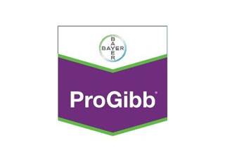 PROGIBB 10 / BAYER CROPSCIENCE S.A. | Vademecum Agrcola > Soy del Campo