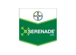 SERENADE / BAYER CROPSCIENCE S.A. | Vademecum Agrícola > Soy del Campo